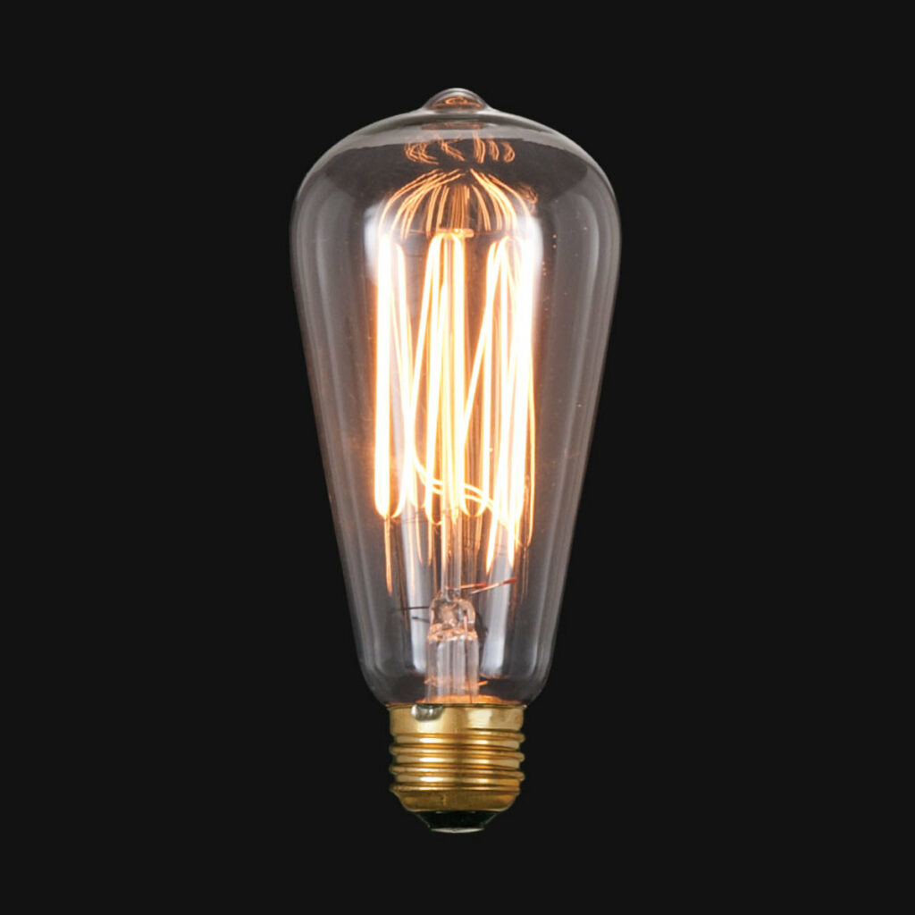 Filament Style Light Bulb Squirrel Cage 40W/130V Standard Edison Base ...